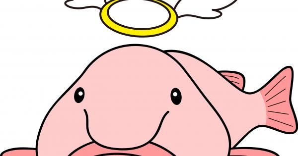 Най-грозната риба в света | Обекти